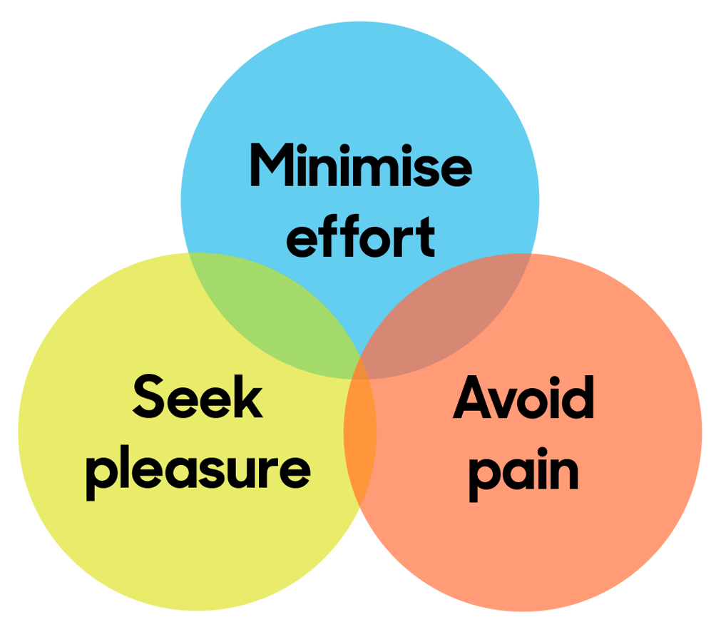 Why is Business Change So Hard?